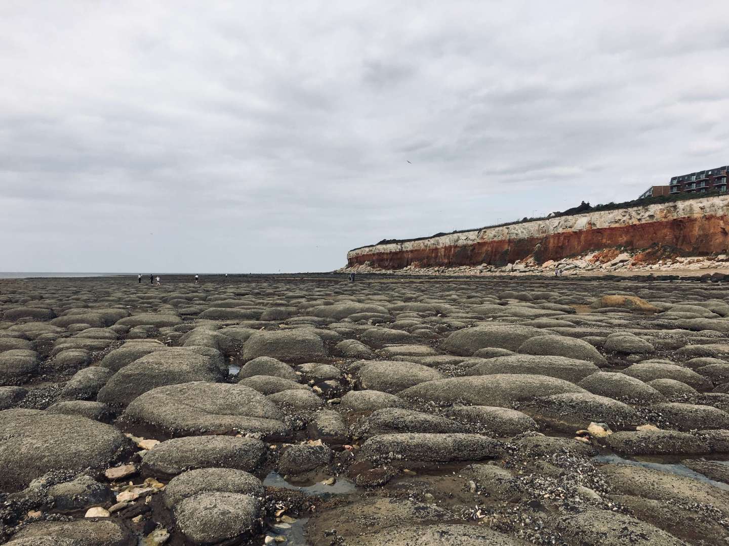 Secrets of the shallows: exploring incredible rock pools – Granny Smith ...